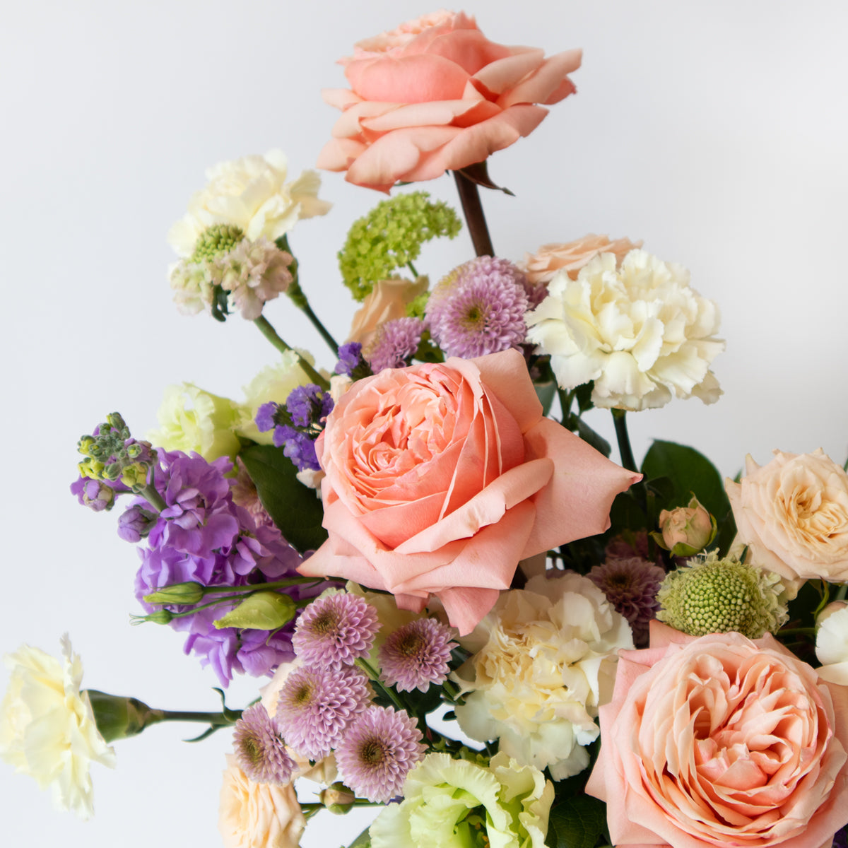 Designer Blooms 2025 Spring Collection - Designer Blooms USA